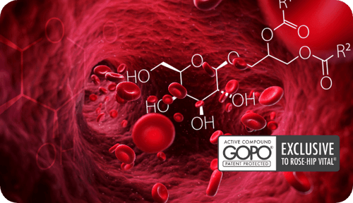 FAQ What Is Gopo? | Rose-Hip Vital