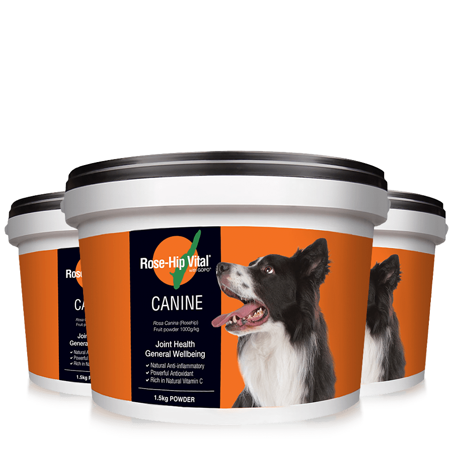 Rose-Hip Vital® Canine 1.5kg Triple Pack | Joint Supplements